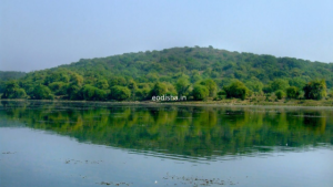Ansupa Lake & Nature Camp, Cuttack - eOdisha